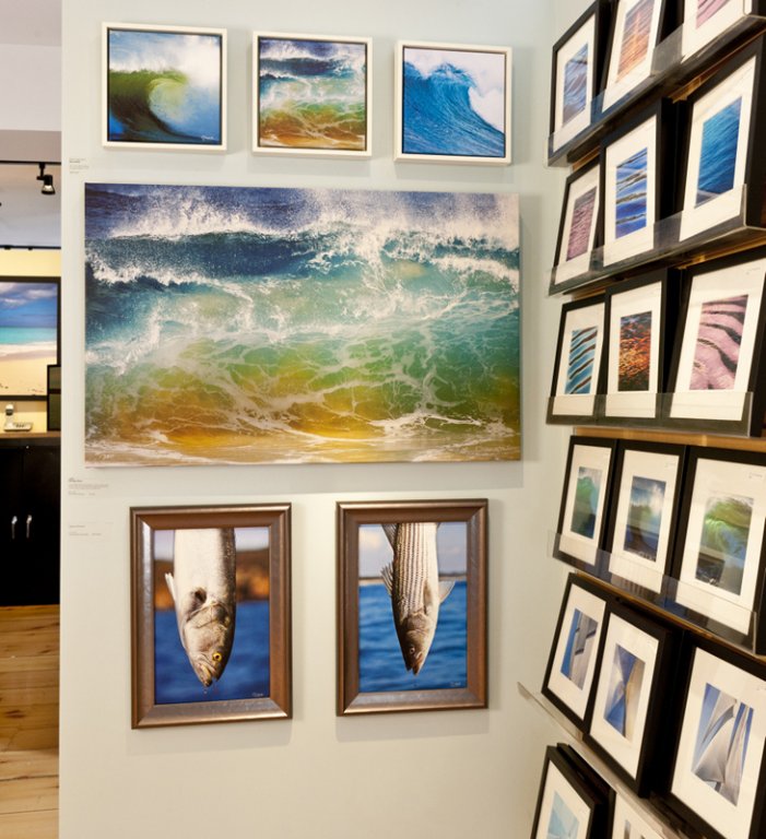 Onne van der Wal Photography, AL | US Harbors