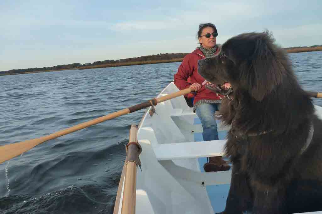 ZO Boats, RI | US Harbors