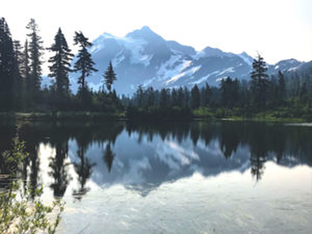 Beautiful Bellingham: Where To Eat, Sleep & Explore | US Harbors