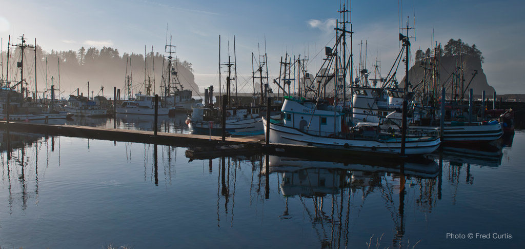 La Push, WA Weather, Tides, and Visitor Guide | US Harbors