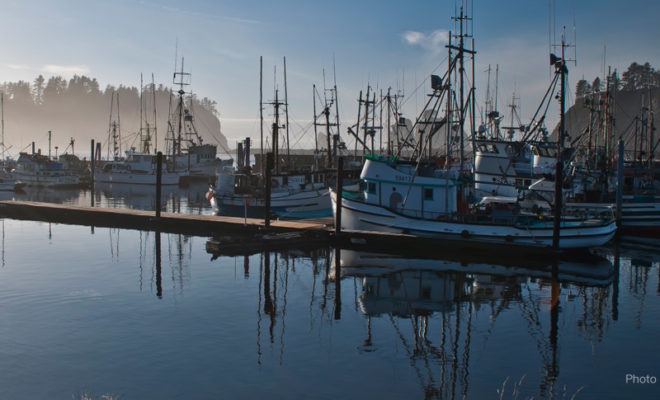 La Push, WA Weather, Tides, and Visitor Guide | US Harbors