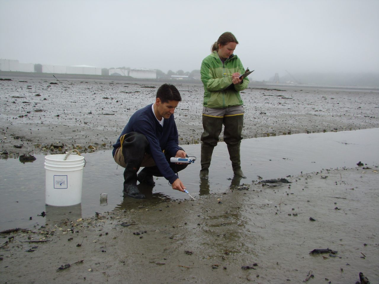The Mystery of the Disappearing Clams | US Harbors