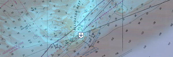 Alligator Reef, Hawk Channel, FL Weather, Tides, and Visitor Guide | US ...