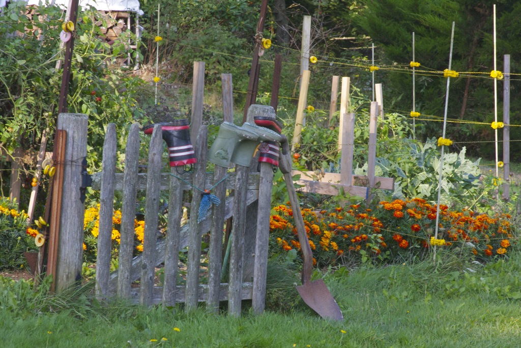 Vegetable Garden Gates