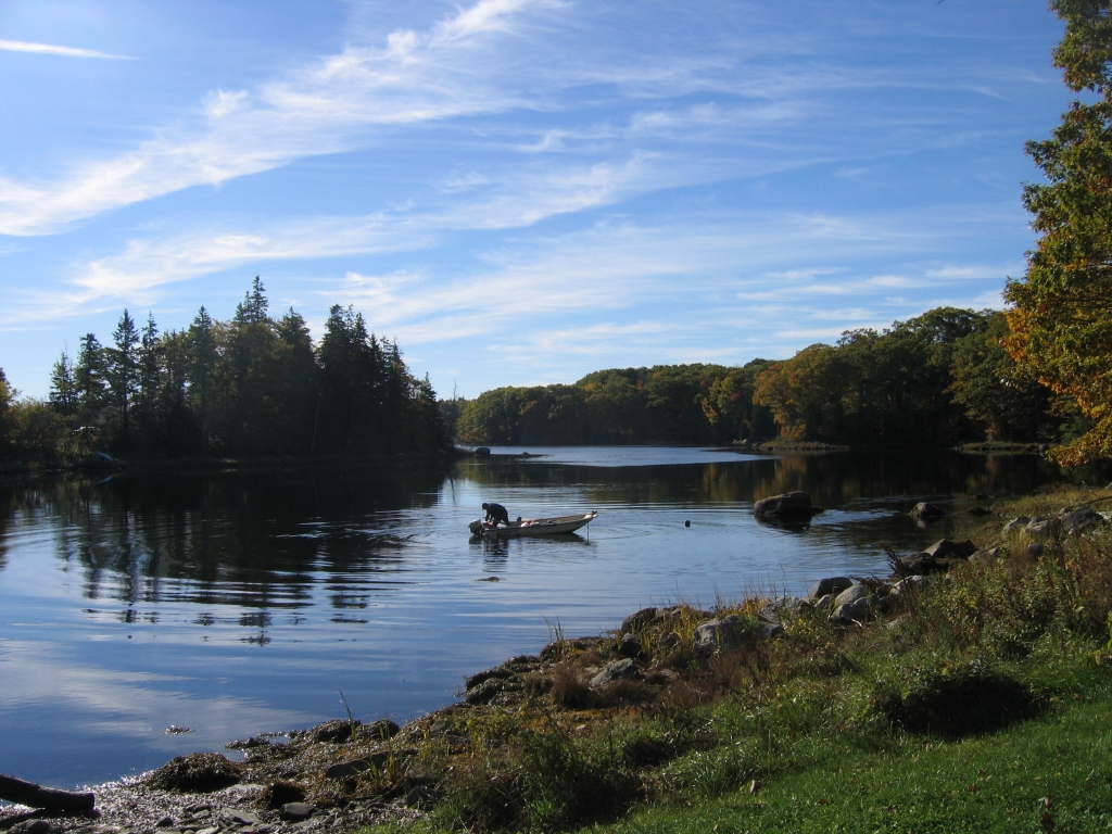 Oysters, Surprising Protector of the Bagaduce River | US Harbors