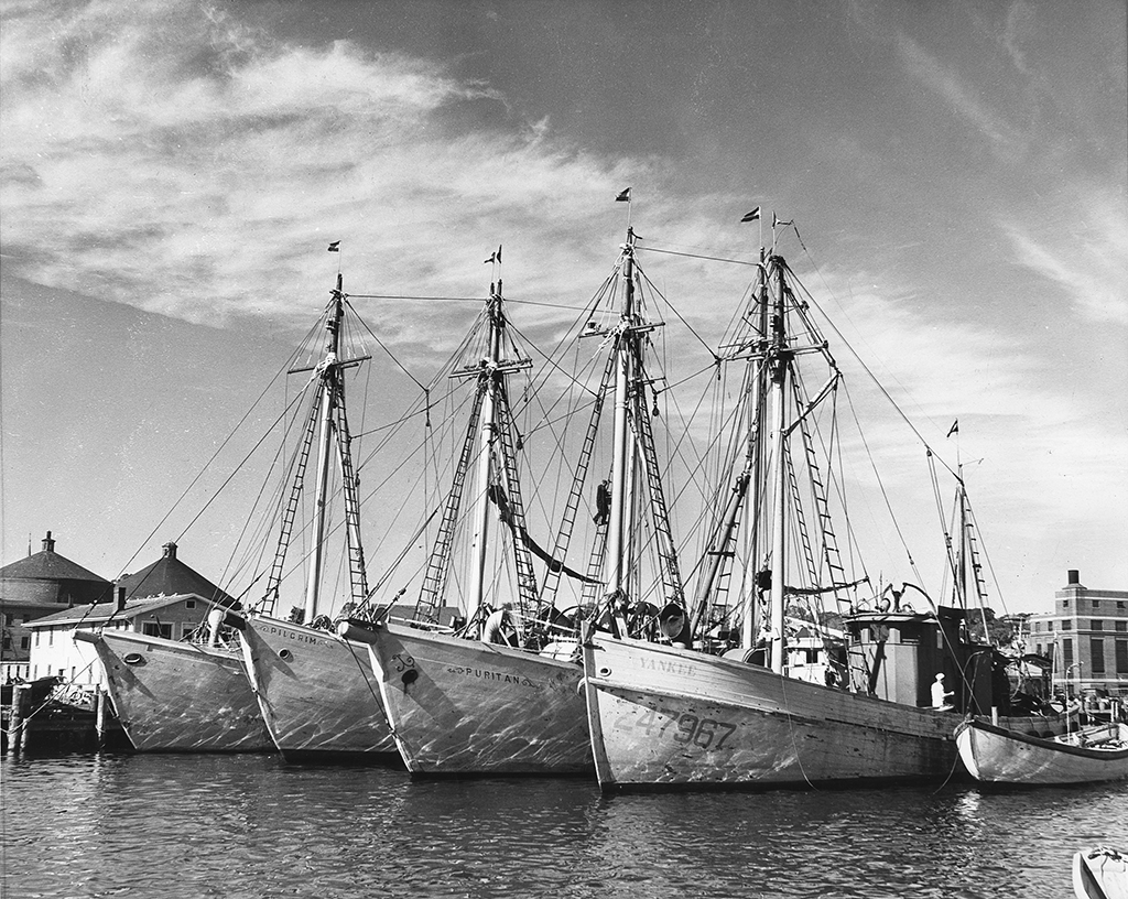 The Long, Salty Heritage of Gloucester | US Harbors