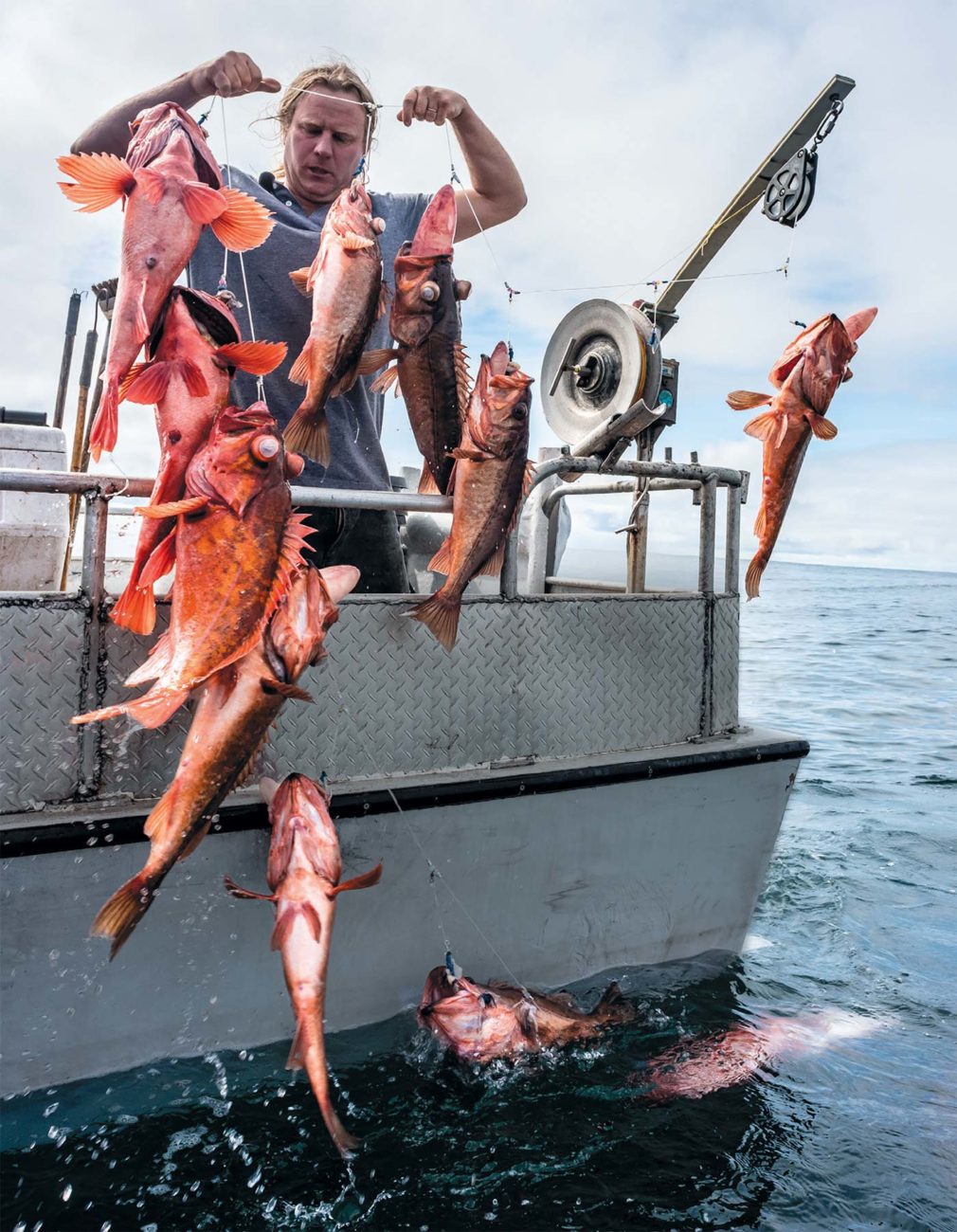 Groundfish Make a Comeback in Monterey Bay | US Harbors