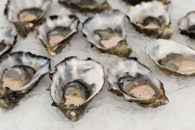 2nd Annual Delaware Oyster Fest at the Beach | US Harbors