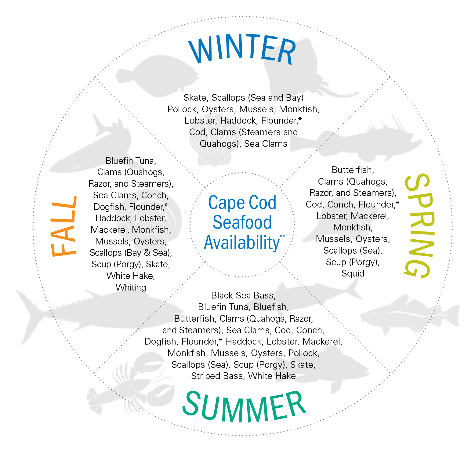 A Seasonal Guide to Cape Cod Fish | US Harbors