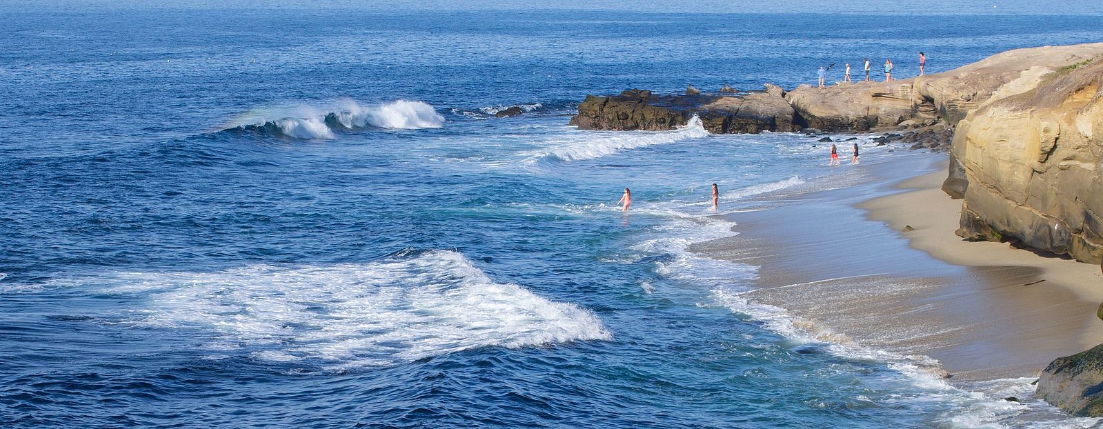 Find a Coastal Clean Up Event Near You | US Harbors