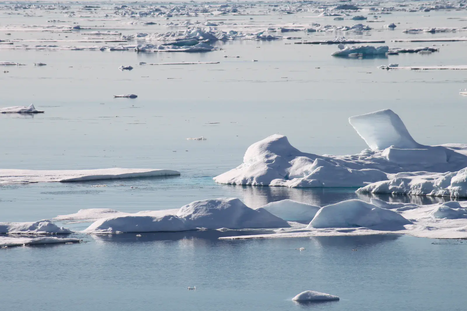 Inevitable Ice-Free Summers: Extreme Heatwaves and Floods Ahead