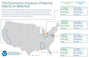 Unlocking Economic Insights: Marine Debris Impact on Coastal Tourism ...