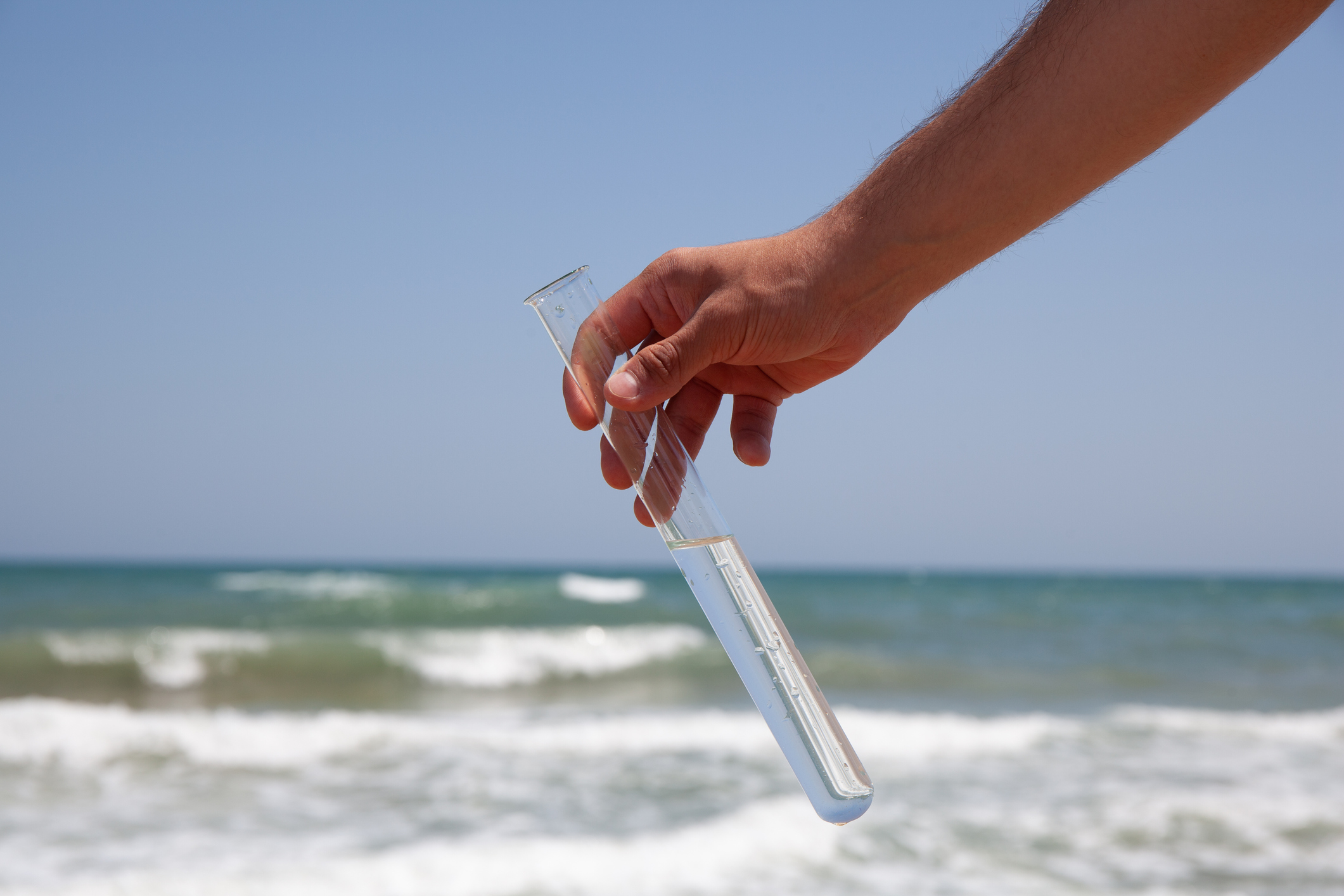 Stanford Study: Life Thrives in Salty Water