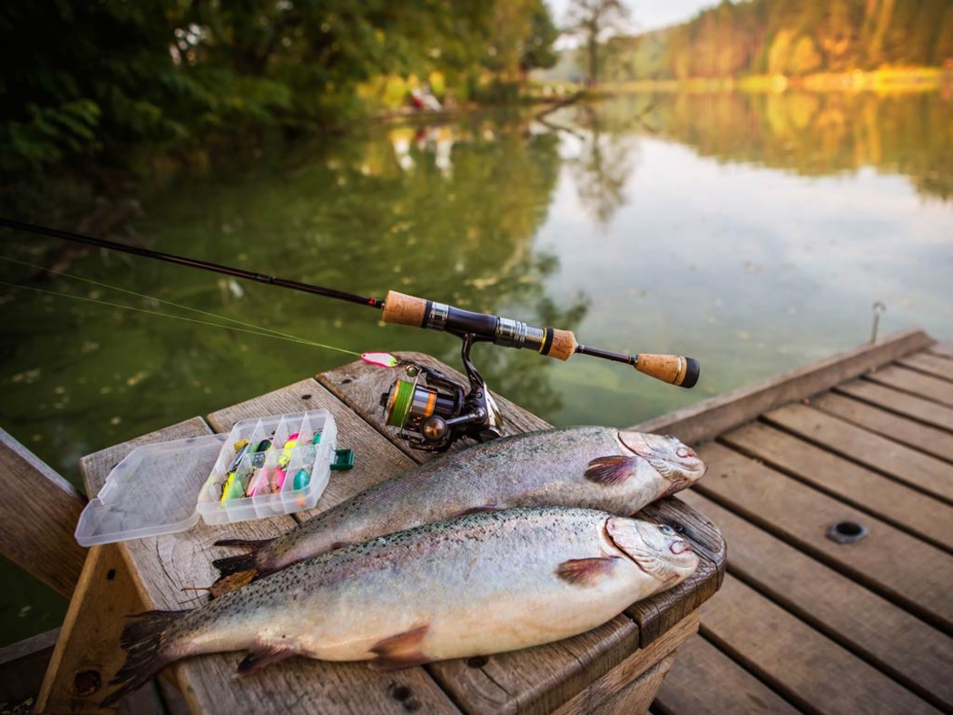 10 Essential Fishing Tips for Beginners | US Harbors