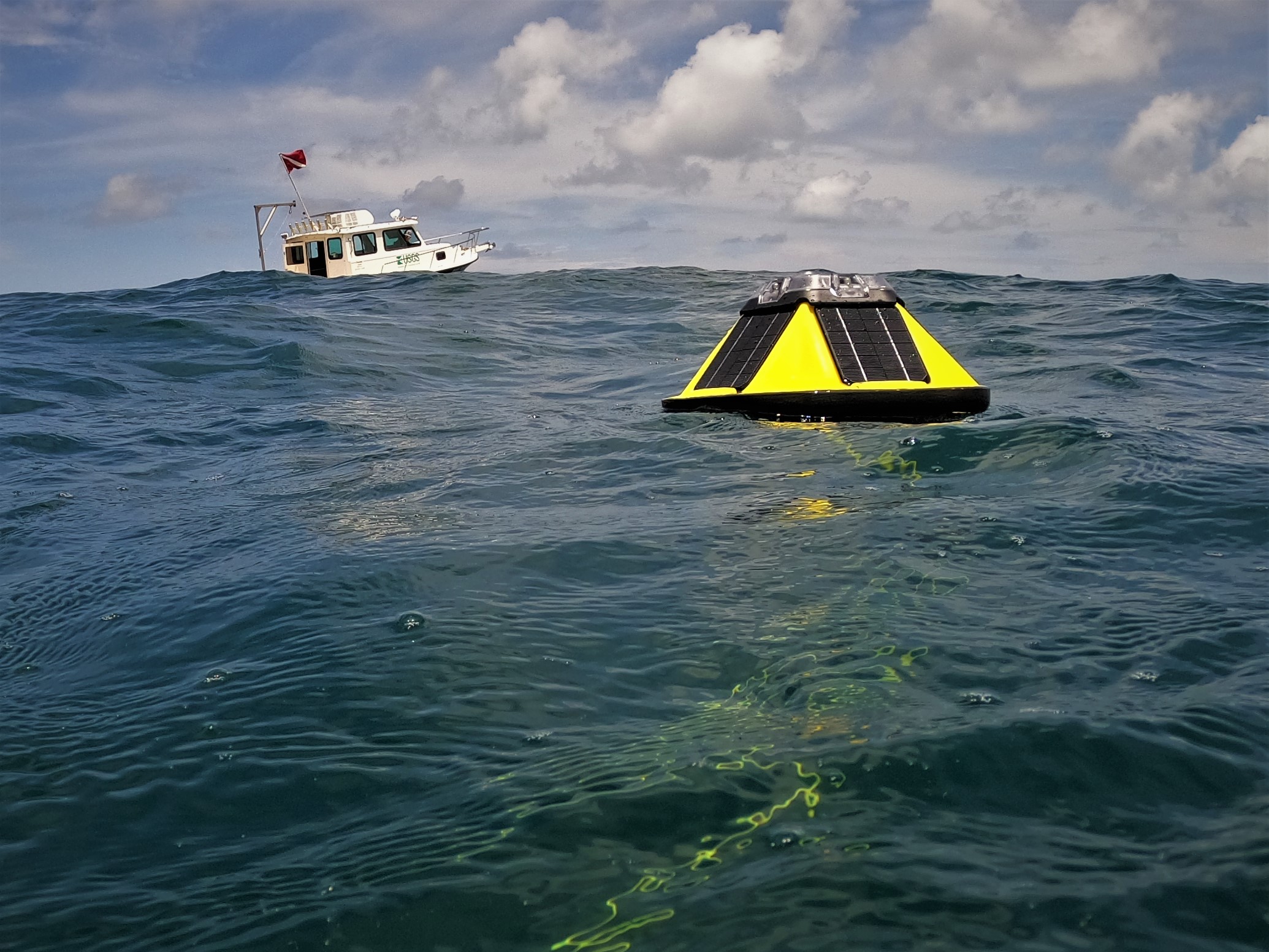 Exploring Ocean Life: Into Marine Observation | US Harbors