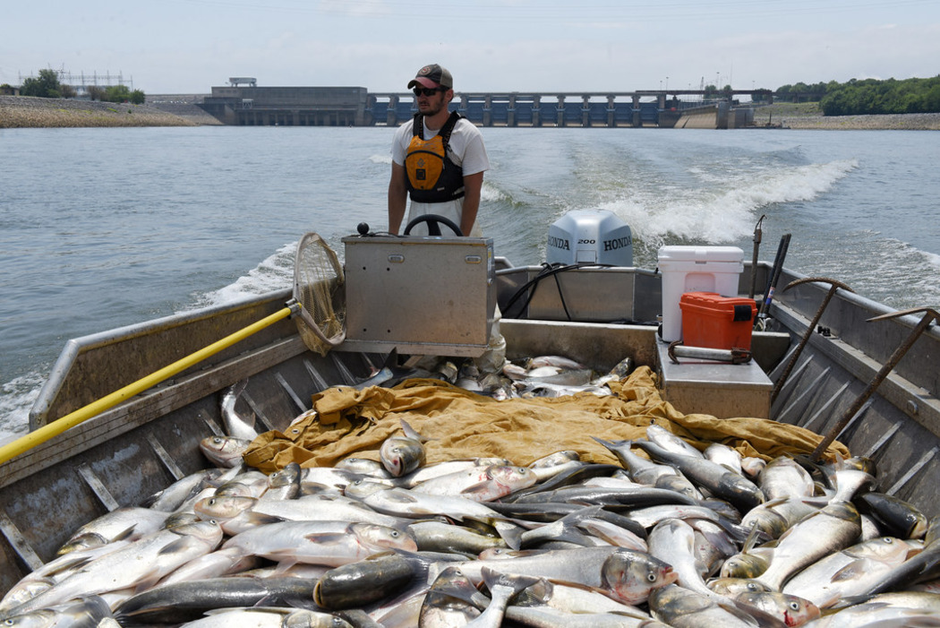 Advocacy Anchors Seafood in U.S. Food Systems | US Harbors