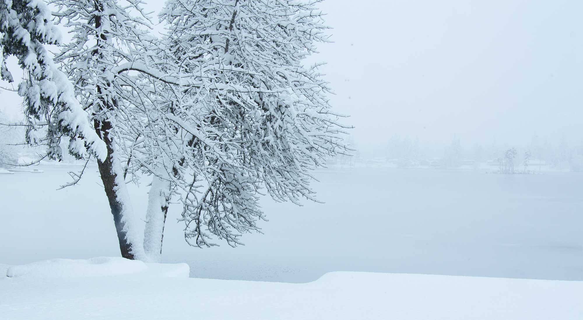 4 Tips to Stay Safe During a Snow Squall | US Harbors