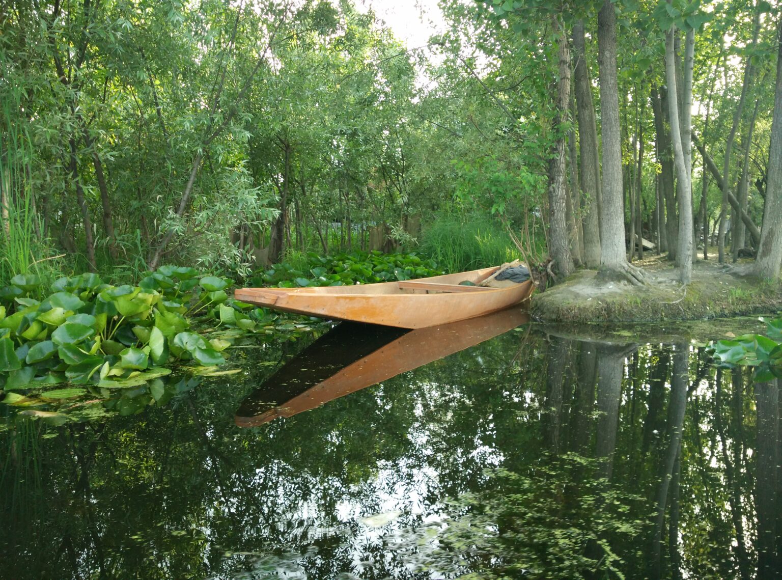 The Canoe in the Forest: A Journey Through Tradition | US Harbors