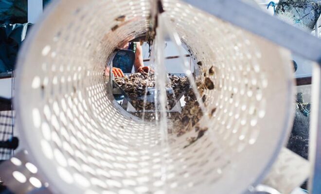 North Myrtle Beach (Hog Inlet Pier), SC Weather, Tides, and Visitor ...
