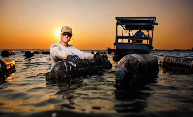 North Myrtle Beach (Hog Inlet Pier), SC Weather, Tides, and Visitor ...