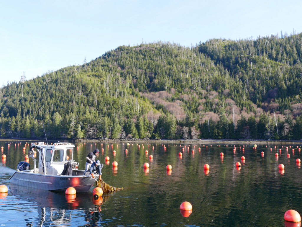 New Aquaculture Opportunity in Gulf of Alaska | US Harbors